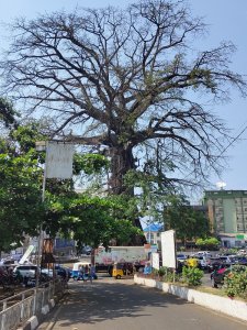 Things to do in Sierra Leone: top tourist attractions - Been Around The ...